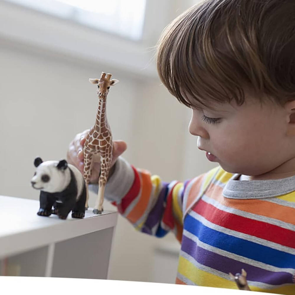 Zestaw Figurek Dzikie zwierzęta 12 szt | ZABAWKI \ ROBOTY | Tytuł ...